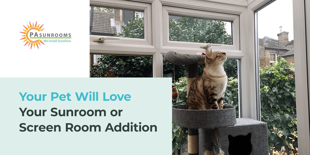 Pet-Friendly Sunrooms & Screen Enclosures - PAsunrooms